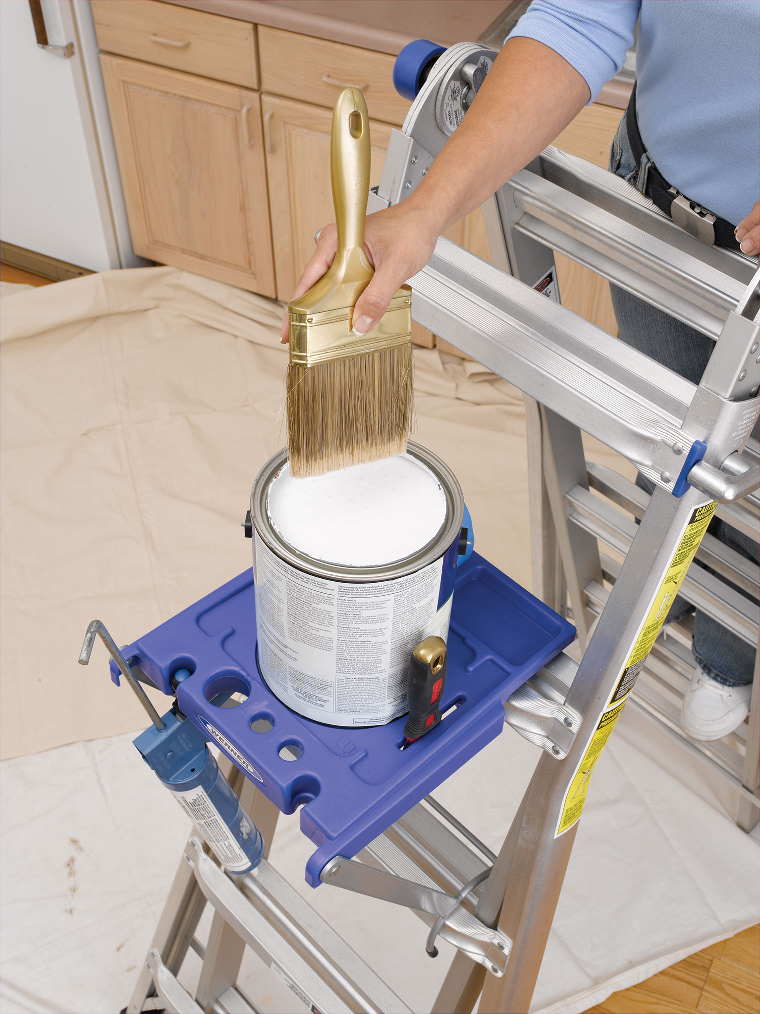 Painting Ladders And Accessories